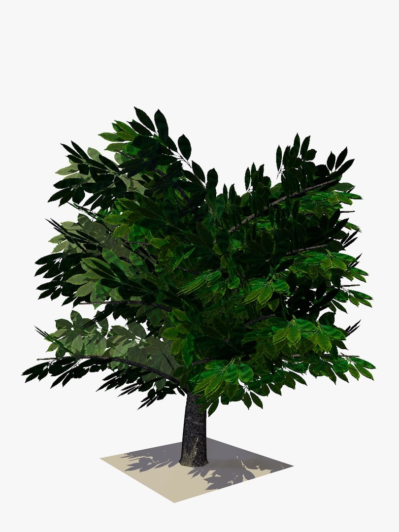 3d bush animations tree model