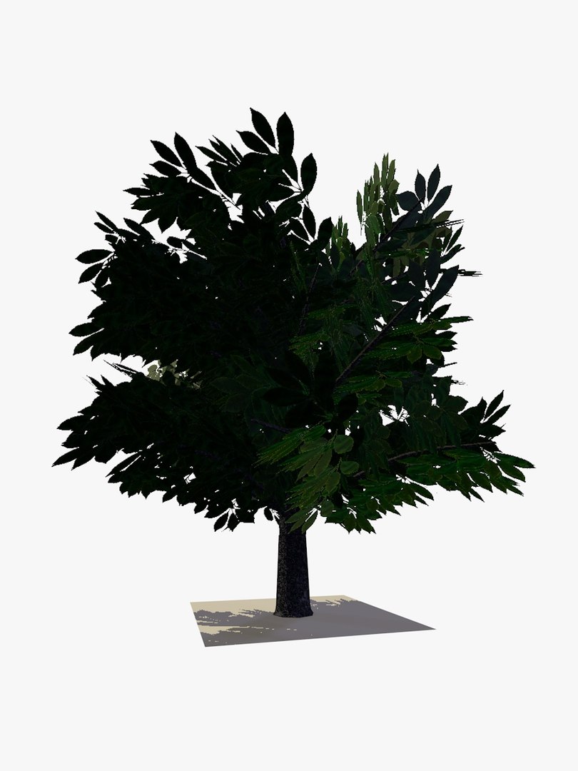 3d bush animations tree model