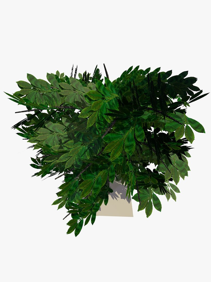 3d bush animations tree model