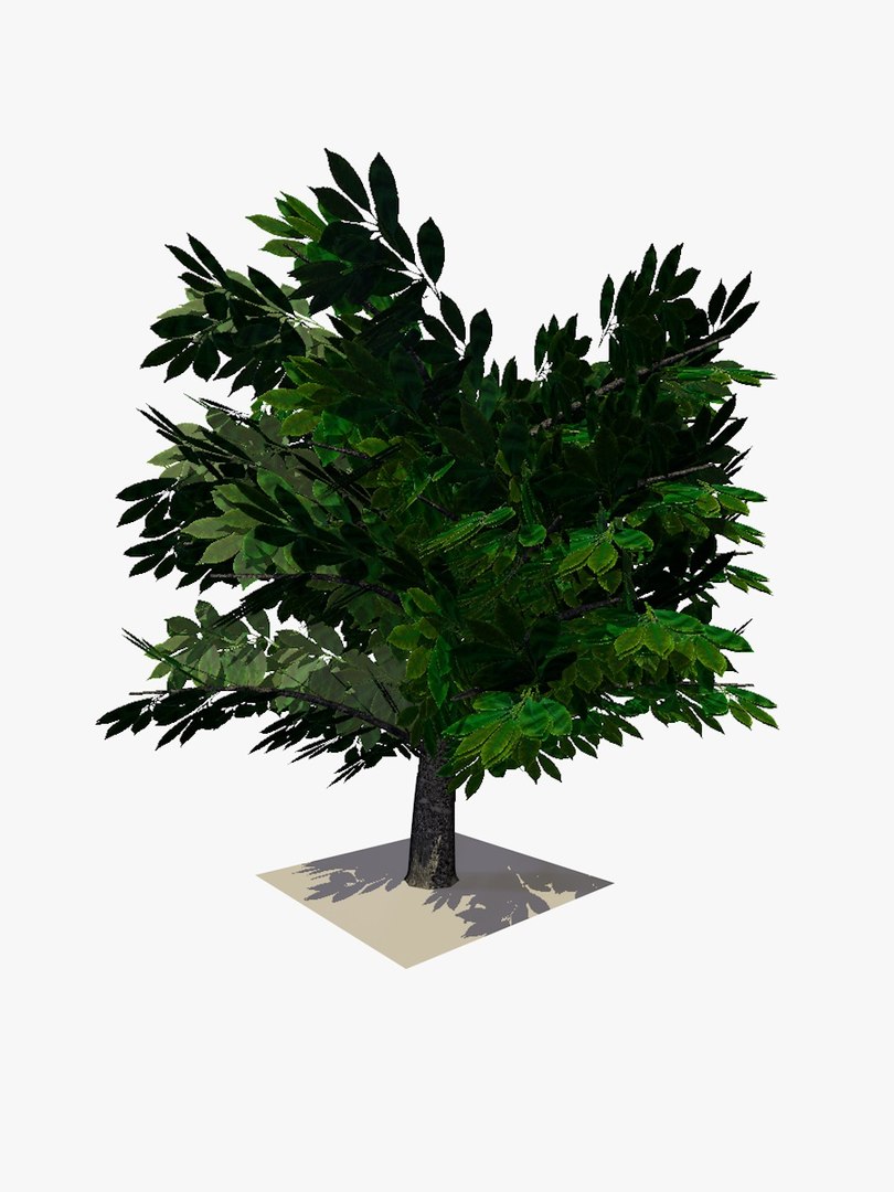 3d bush animations tree model