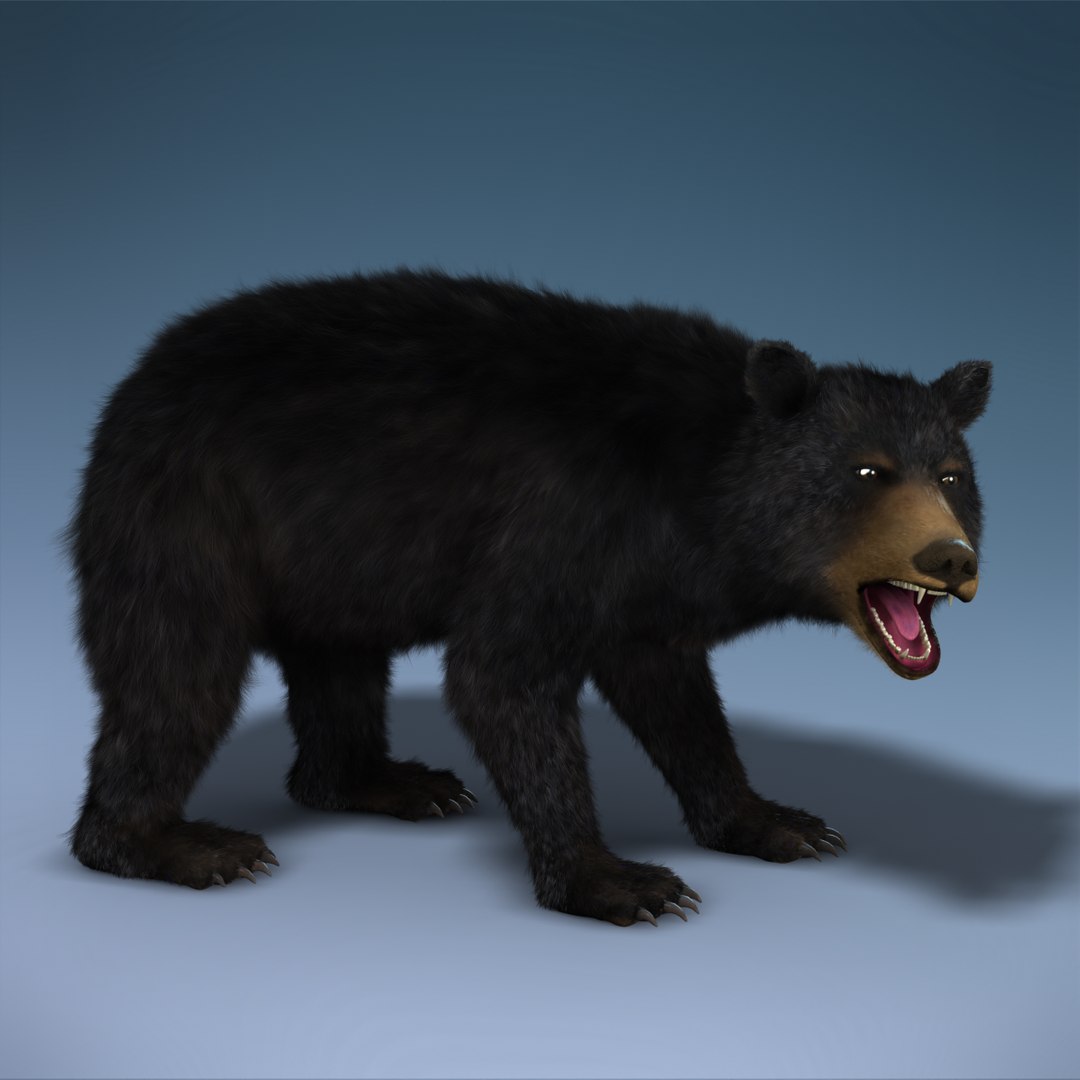 max black bear rigged