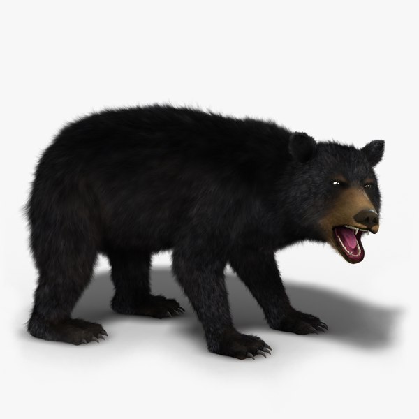 max black bear rigged