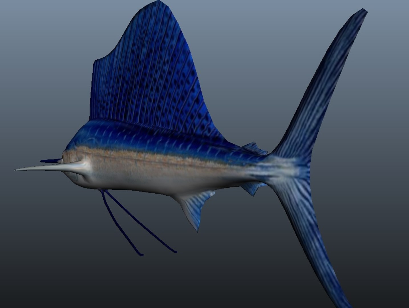Max Fish Rigged Animation