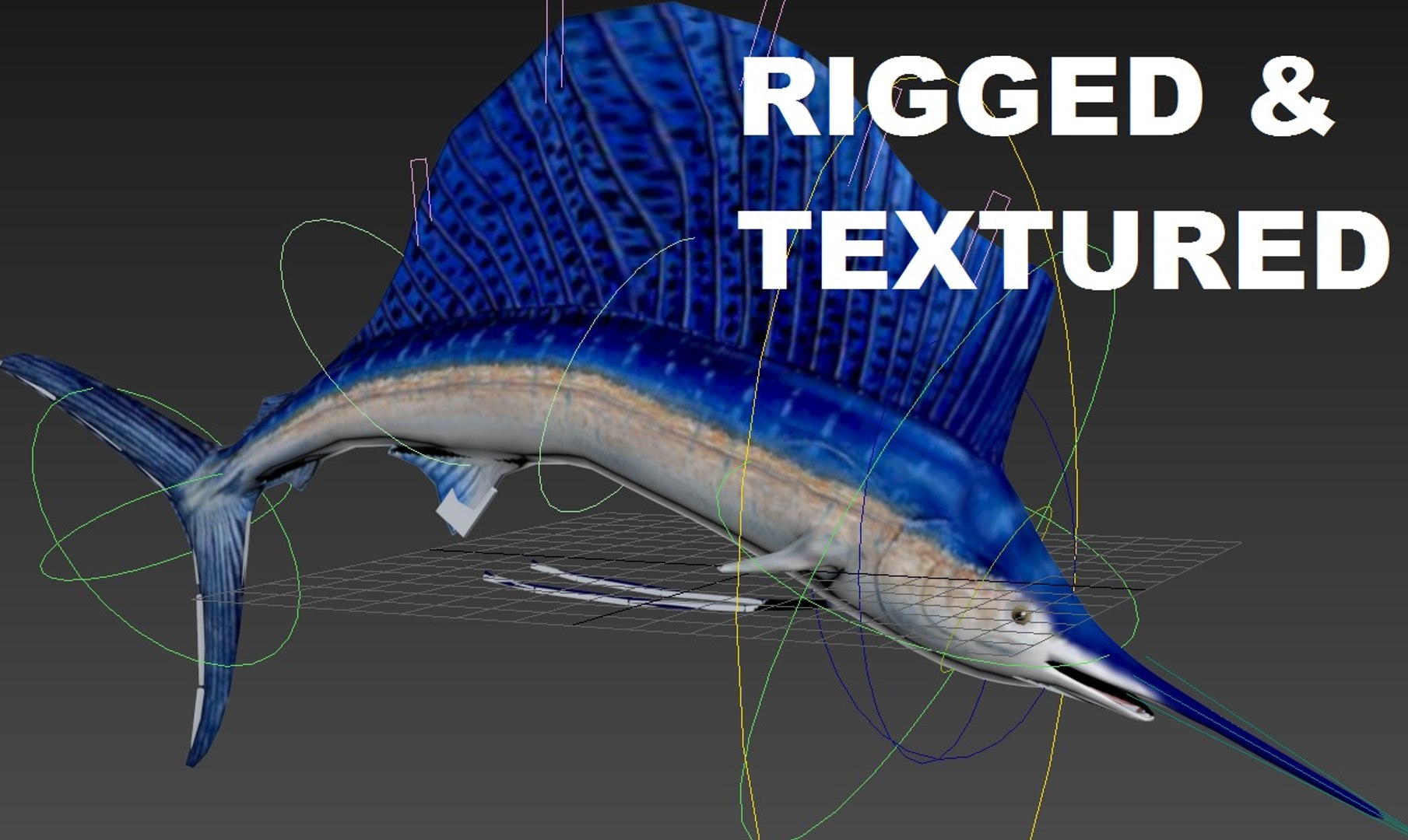 Max Fish Rigged Animation