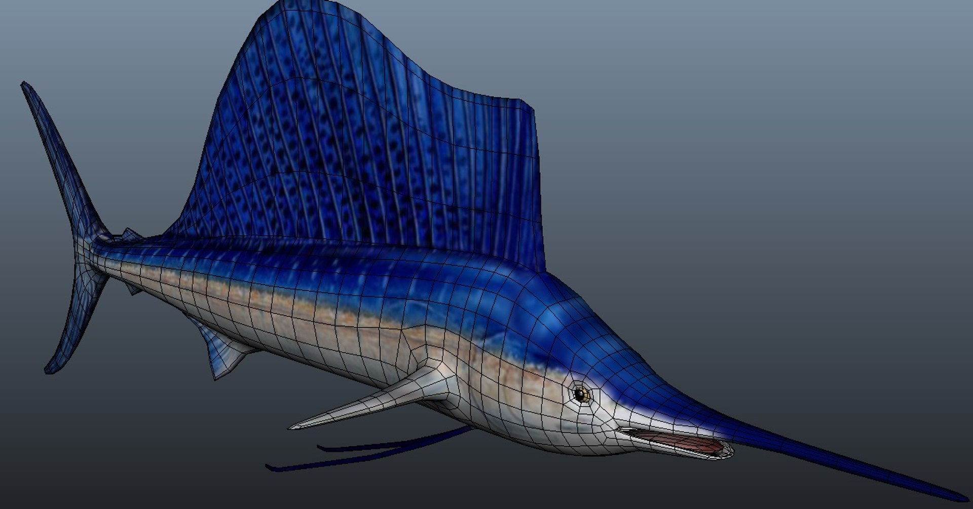 Max Fish Rigged Animation