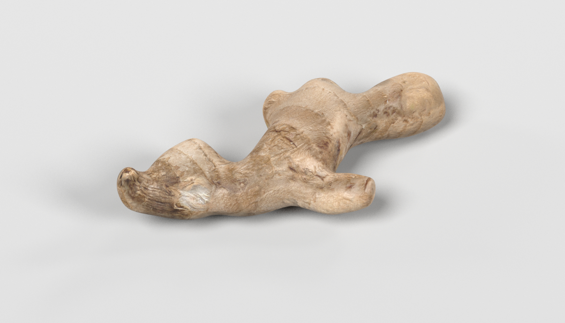 3ds Ginger Root Zingiber