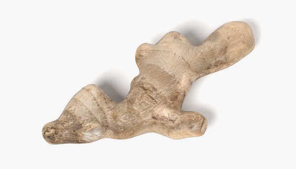 Ginger 3D Models for Download | TurboSquid