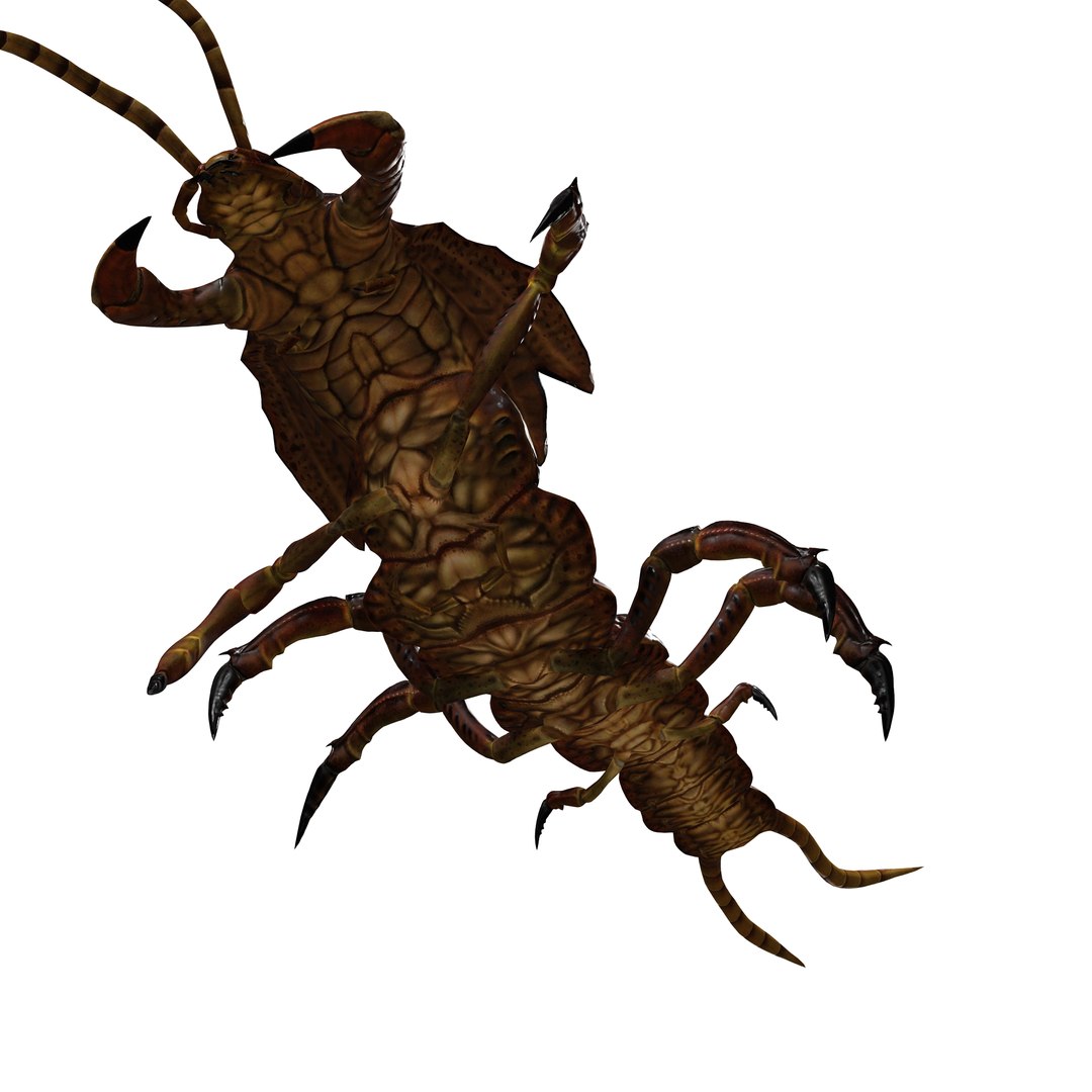 CENTIPEDE Insect Centipede 3D Model - TurboSquid 2162971