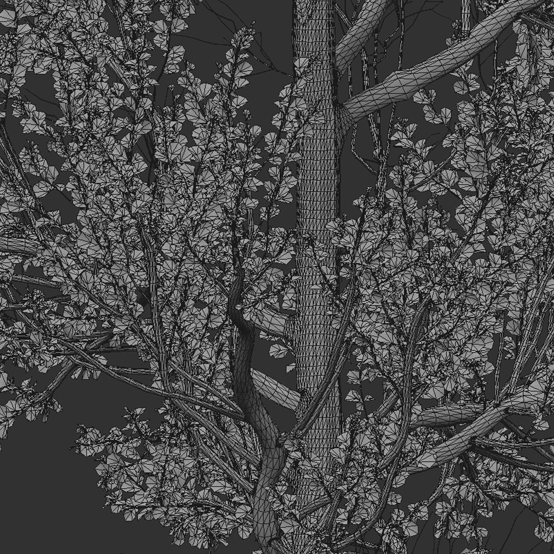 Set Of Aspen Or Populus Tremuloides Tree - 2 Trees Model - TurboSquid ...