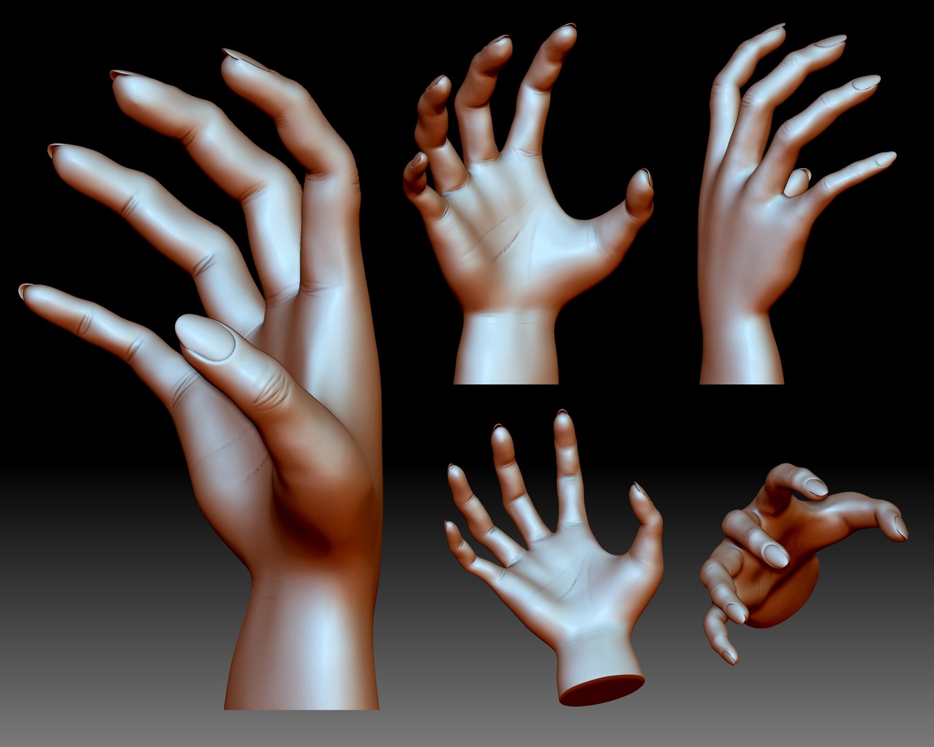 3D Model Hand Stand Jewelry - TurboSquid 1669932