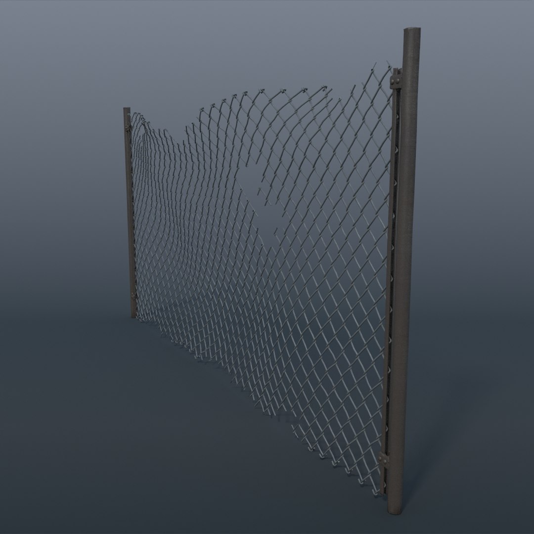 3d Model Damage Netting