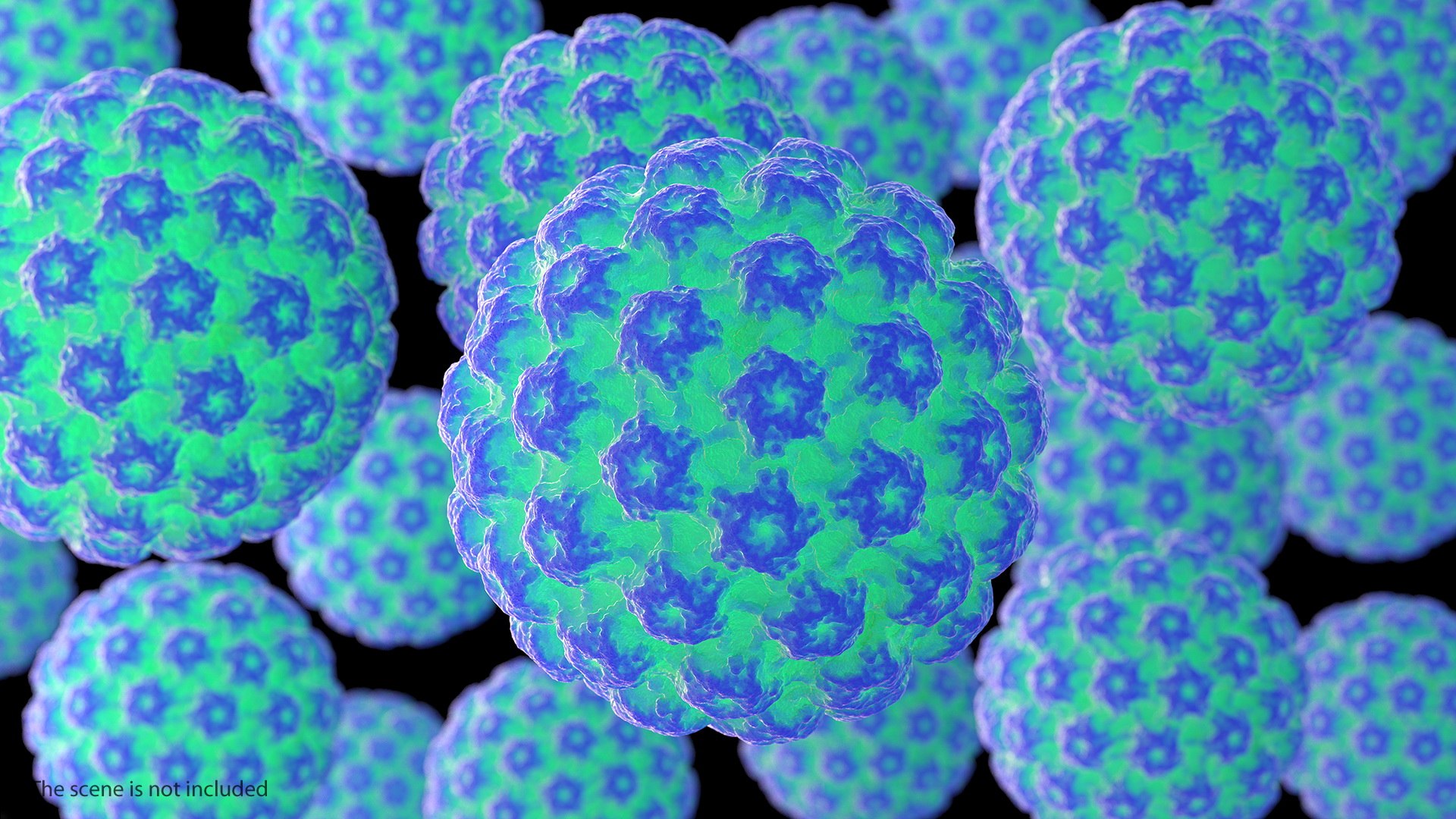 Human Papilloma Virus Hpv 3D Model - TurboSquid 1435820