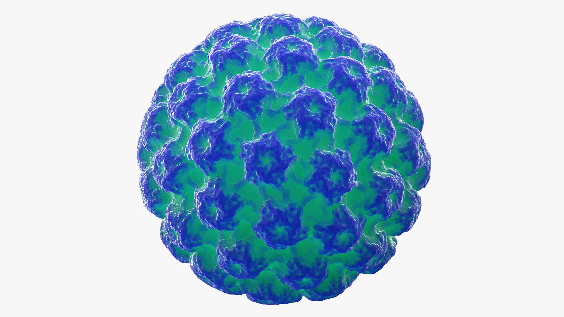 Human Papilloma Virus Hpv 3D Model - TurboSquid 1435820