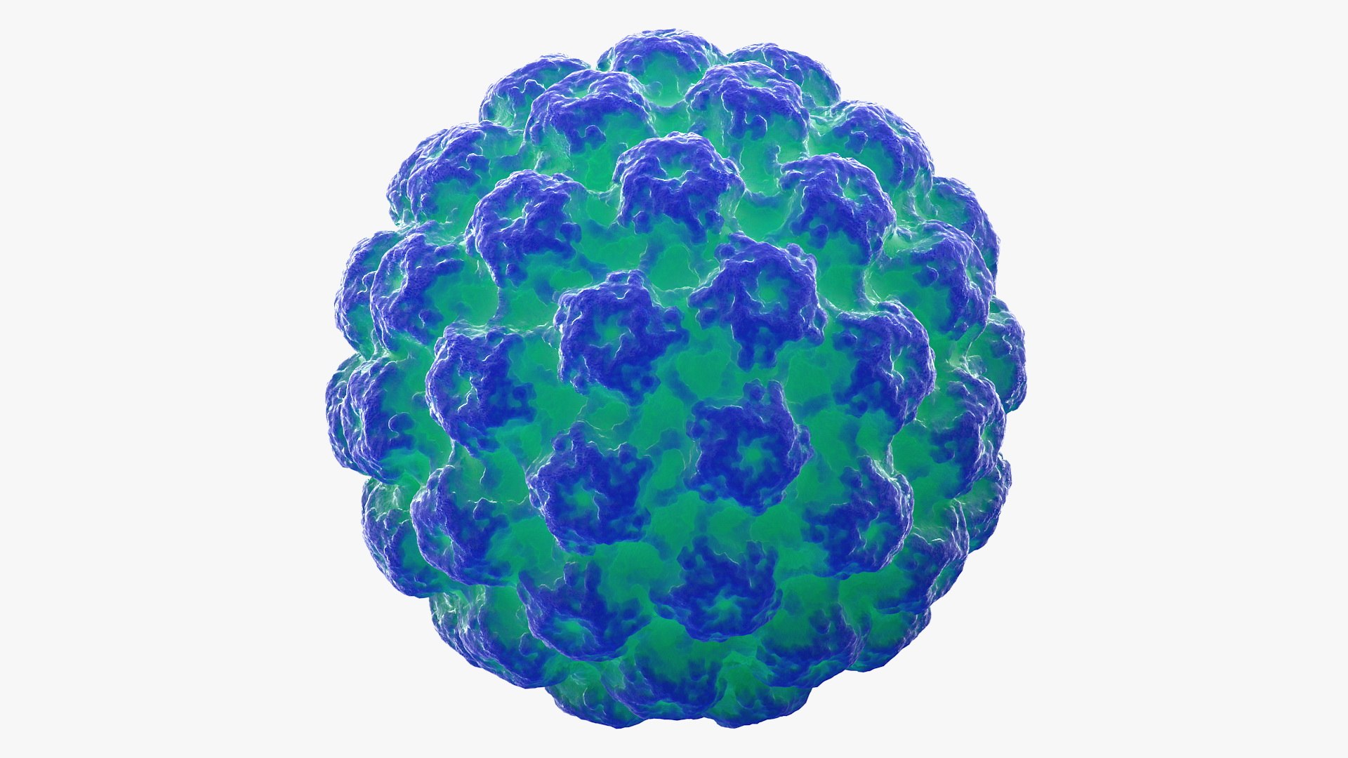 Human Papilloma Virus Hpv 3D Model - TurboSquid 1435820