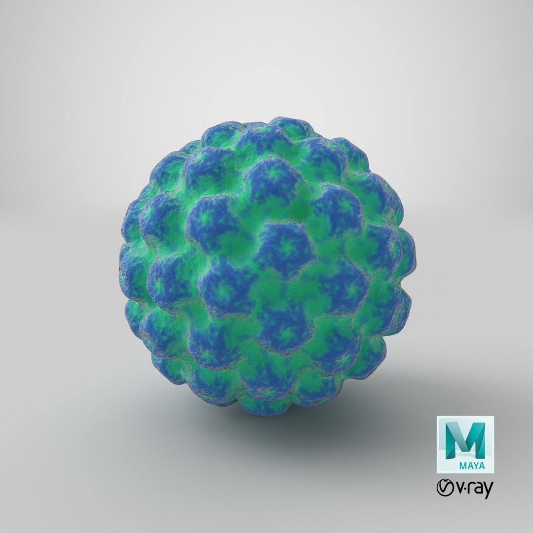 Human Papilloma Virus Hpv 3D Model - TurboSquid 1435820