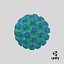 Human Papilloma Virus Hpv 3D Model - TurboSquid 1435820