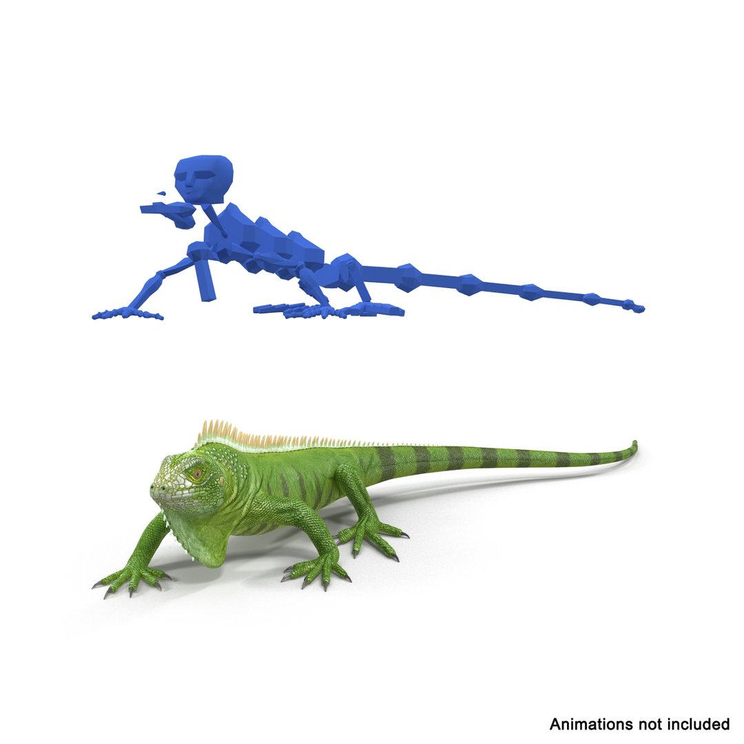 Rigged lizards 2 3D model - TurboSquid 1200688