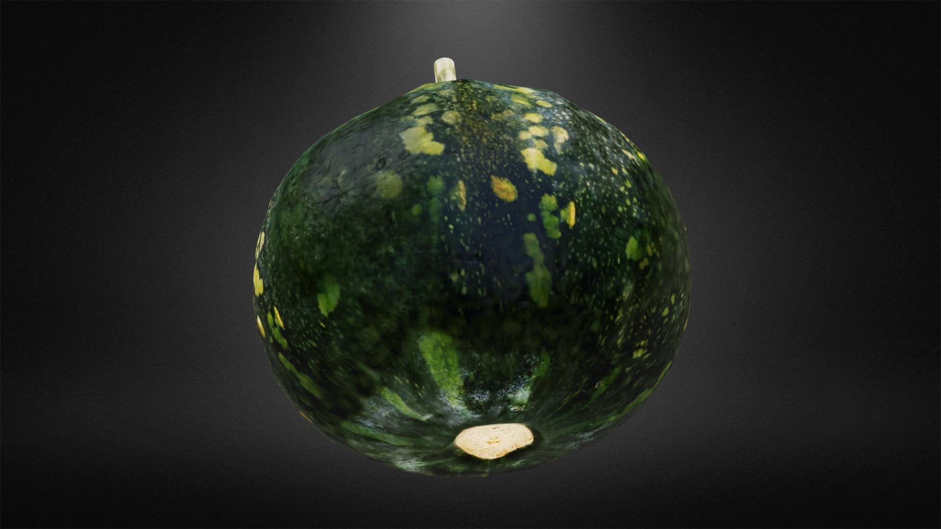 3D Squash Model - TurboSquid 1842945