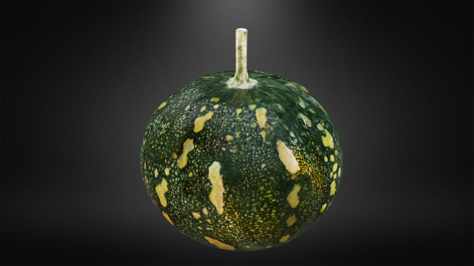 3D Squash Model - TurboSquid 1842945