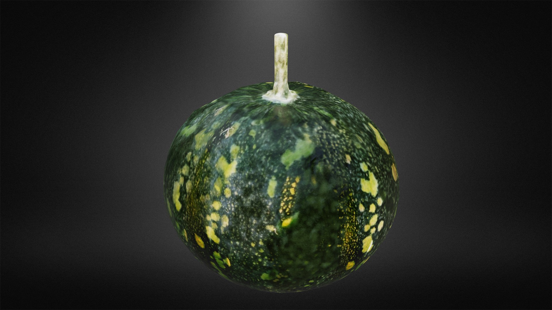 3D Squash Model - TurboSquid 1842945