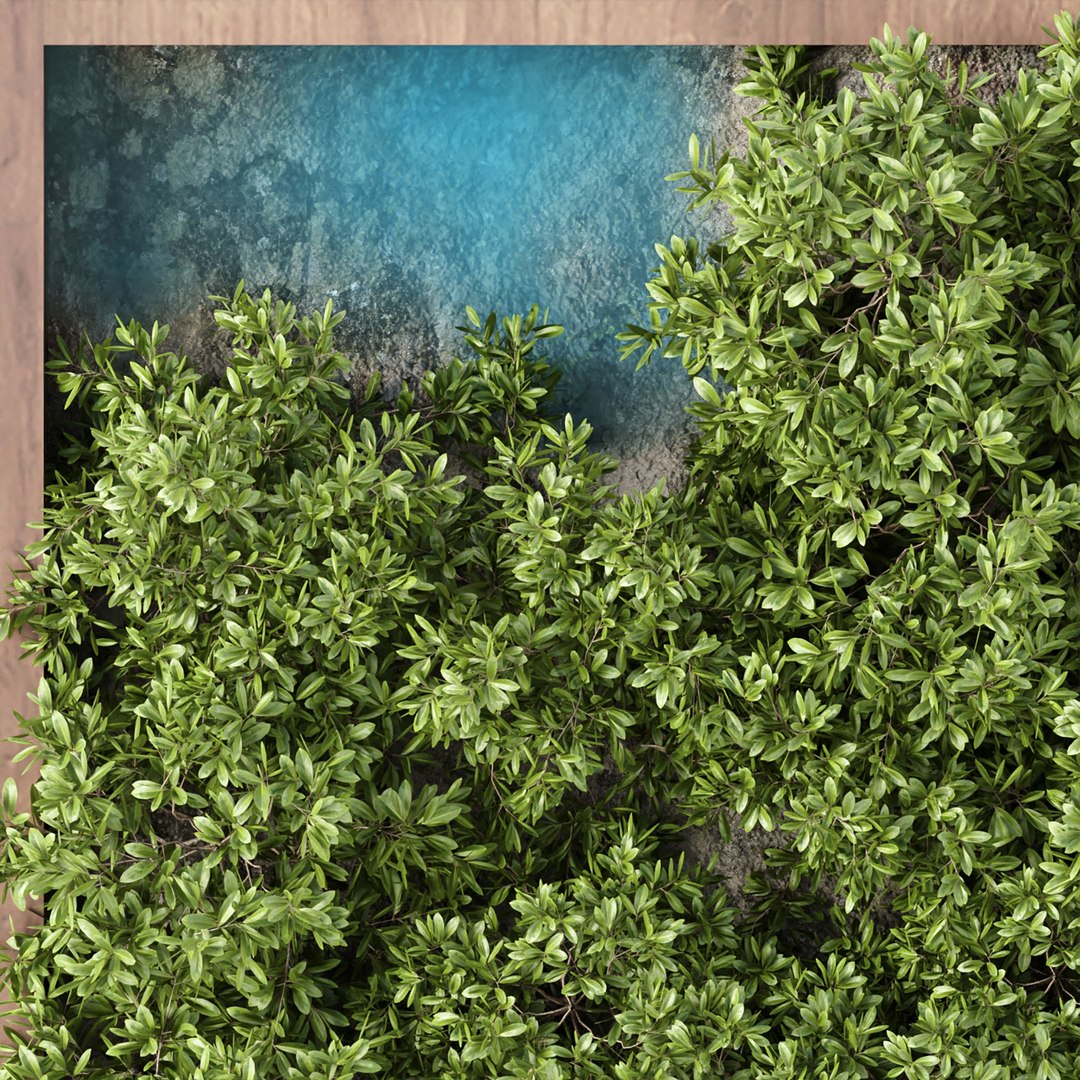 Vertical Nature Vol 179 3D Model - TurboSquid 2017158