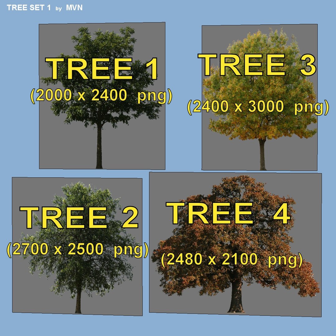 Set Trees 3d Obj