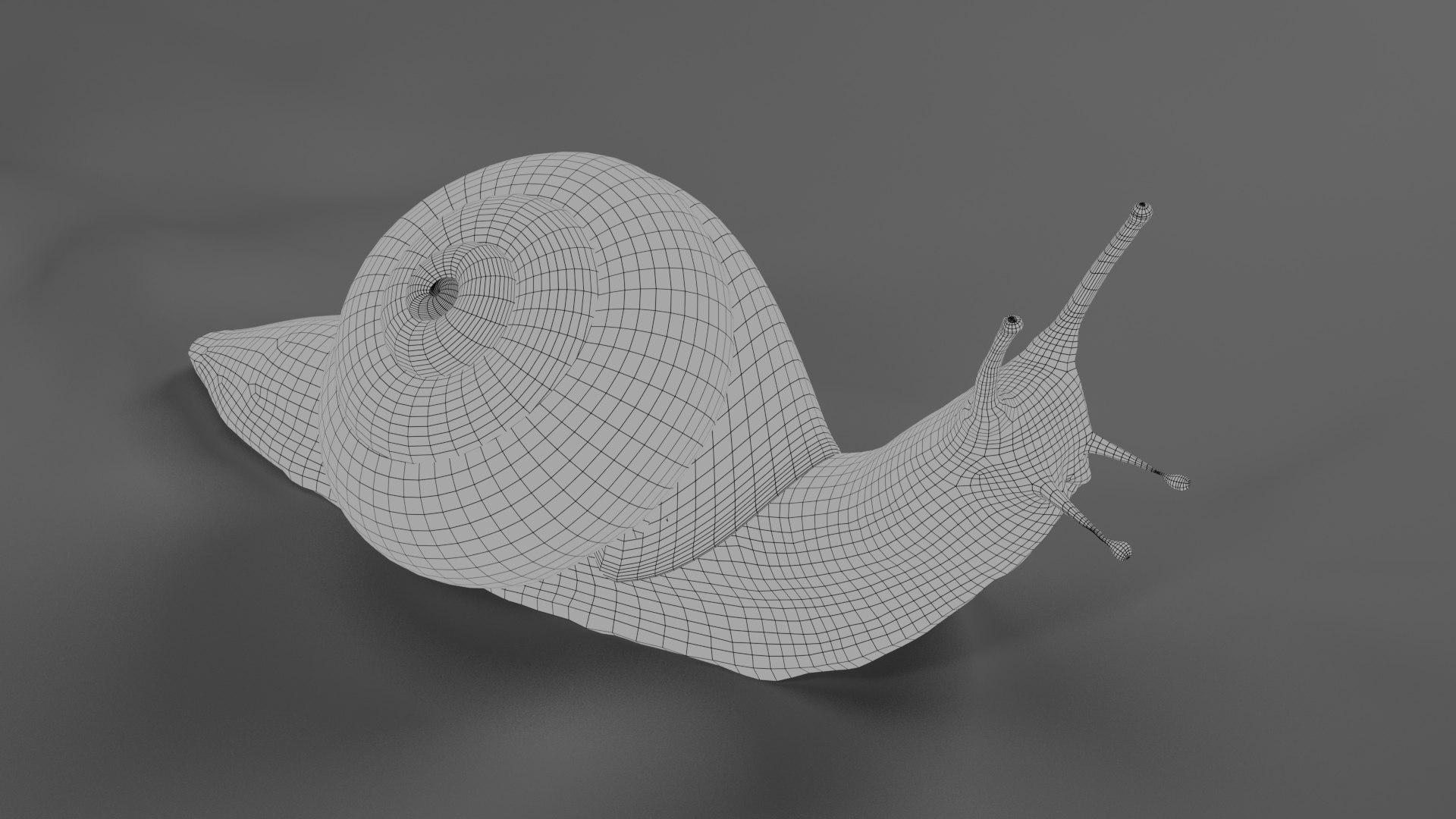 Snail 3D Model - TurboSquid 2121141