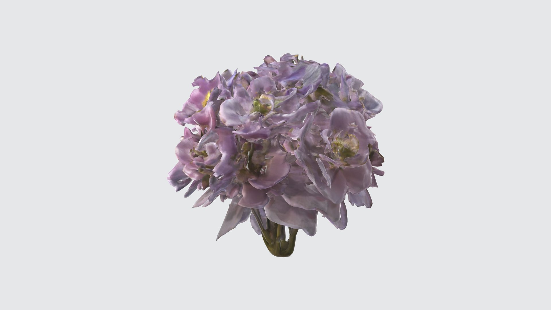 Japanese Anemone Flowers 3D Model - TurboSquid 2281596