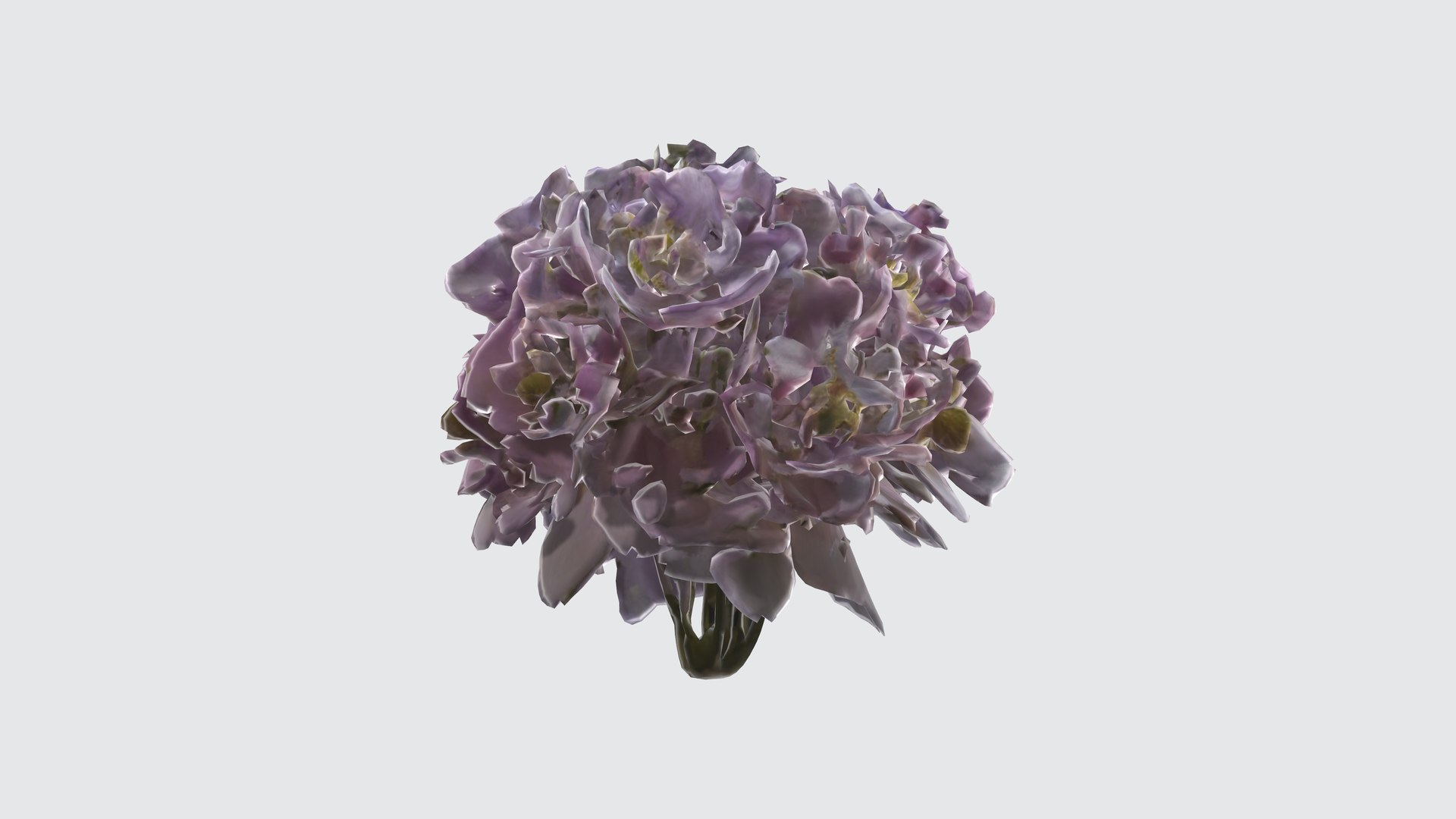 Japanese Anemone Flowers 3D Model - TurboSquid 2281596