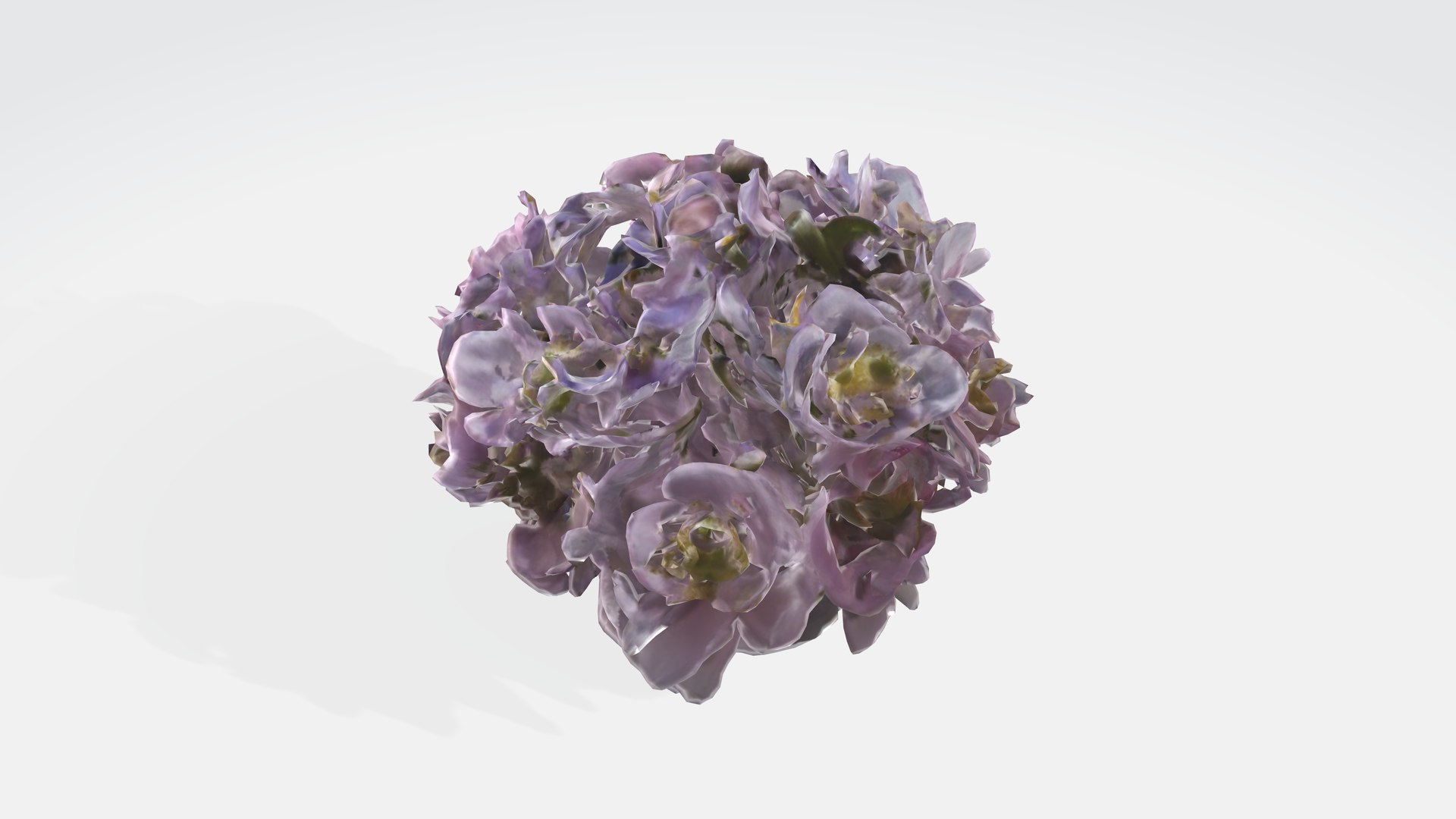 Japanese Anemone Flowers 3D Model - TurboSquid 2281596