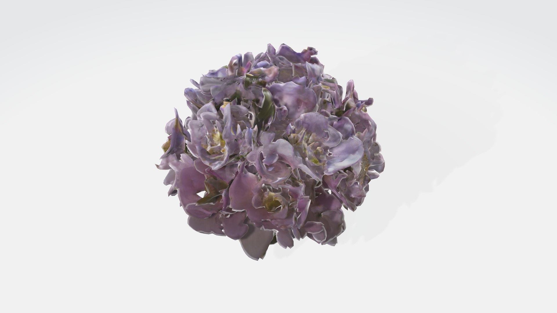 Japanese Anemone Flowers 3D Model - TurboSquid 2281596