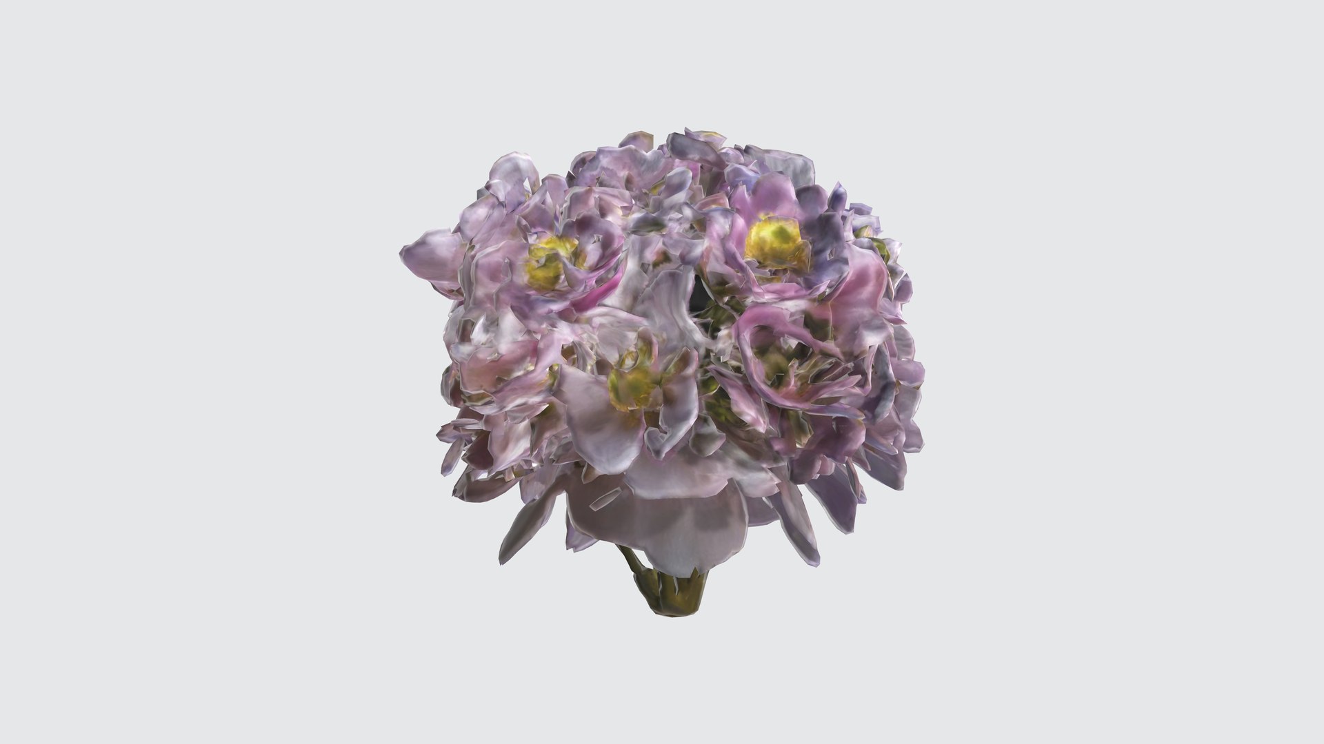 Japanese Anemone Flowers 3D Model - TurboSquid 2281596