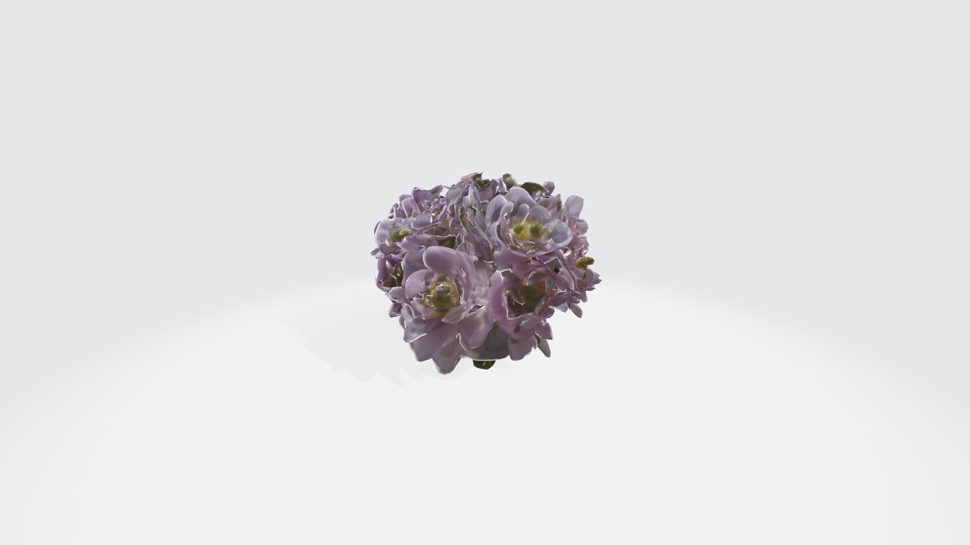 Japanese Anemone Flowers 3D Model - TurboSquid 2281596