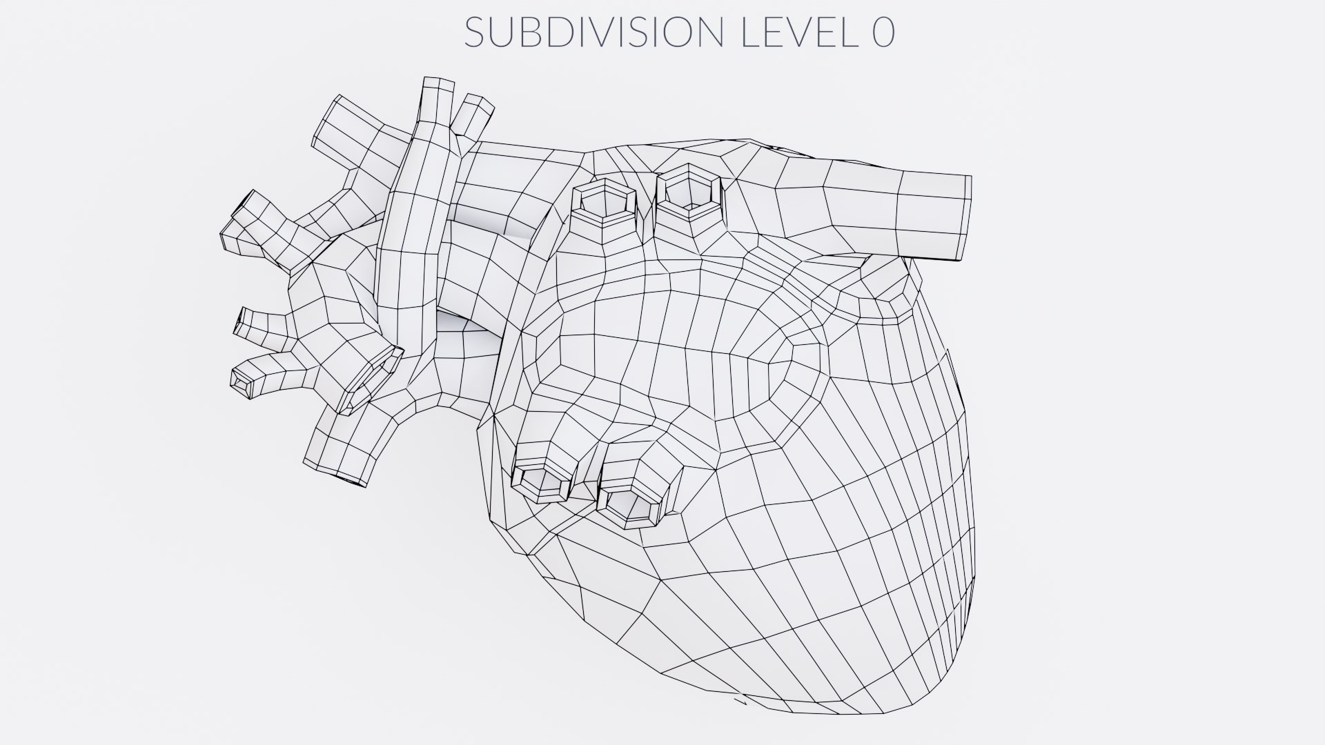 Heart Realistic 3D - TurboSquid 2030393