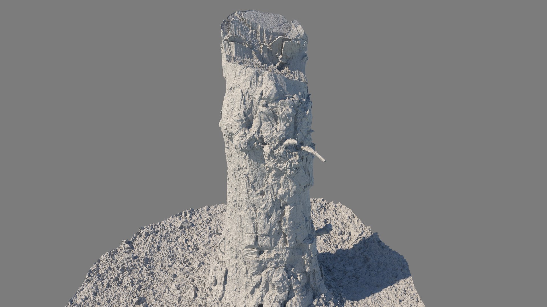 Scanned Trimmed Trunk 05 3D Model - TurboSquid 2156220