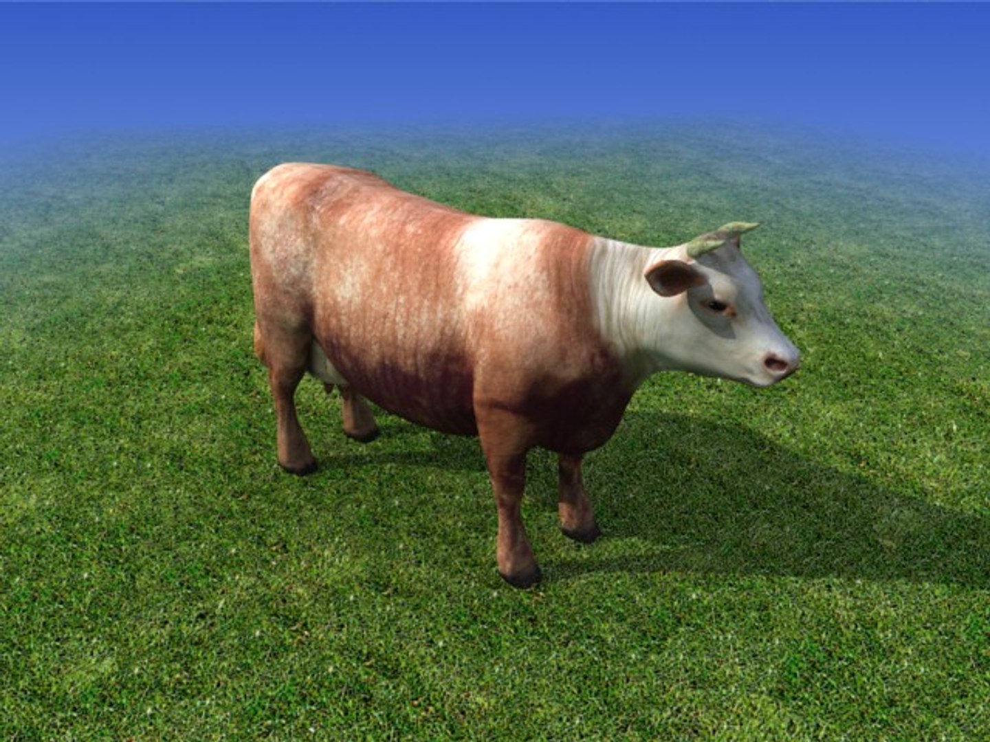 3d Cow Model