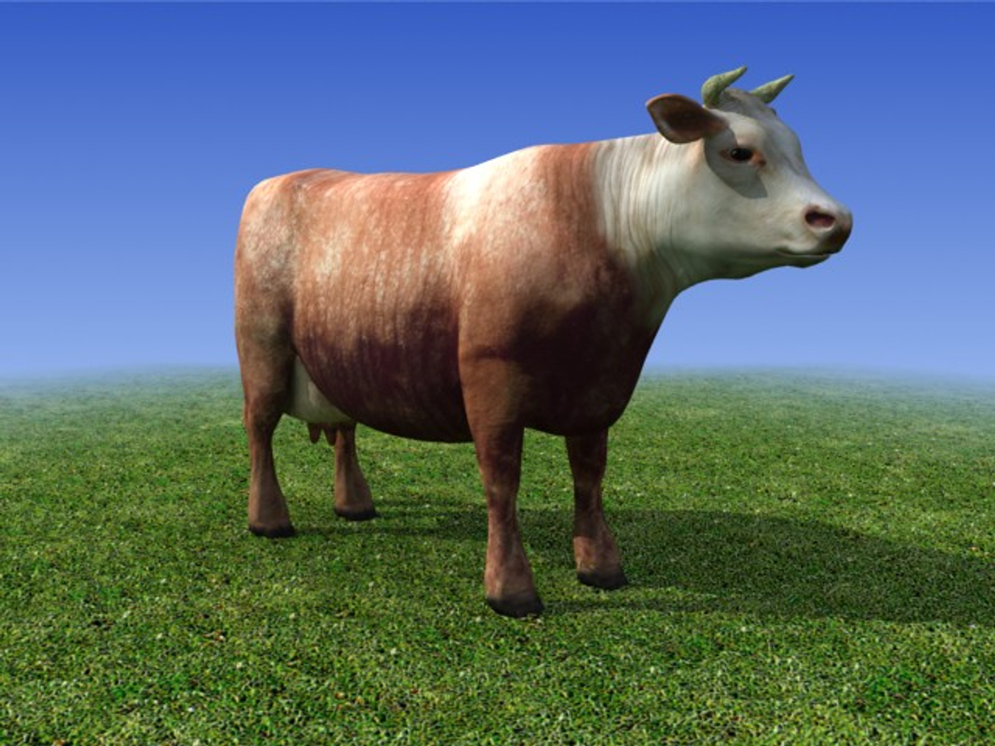 3d cow model