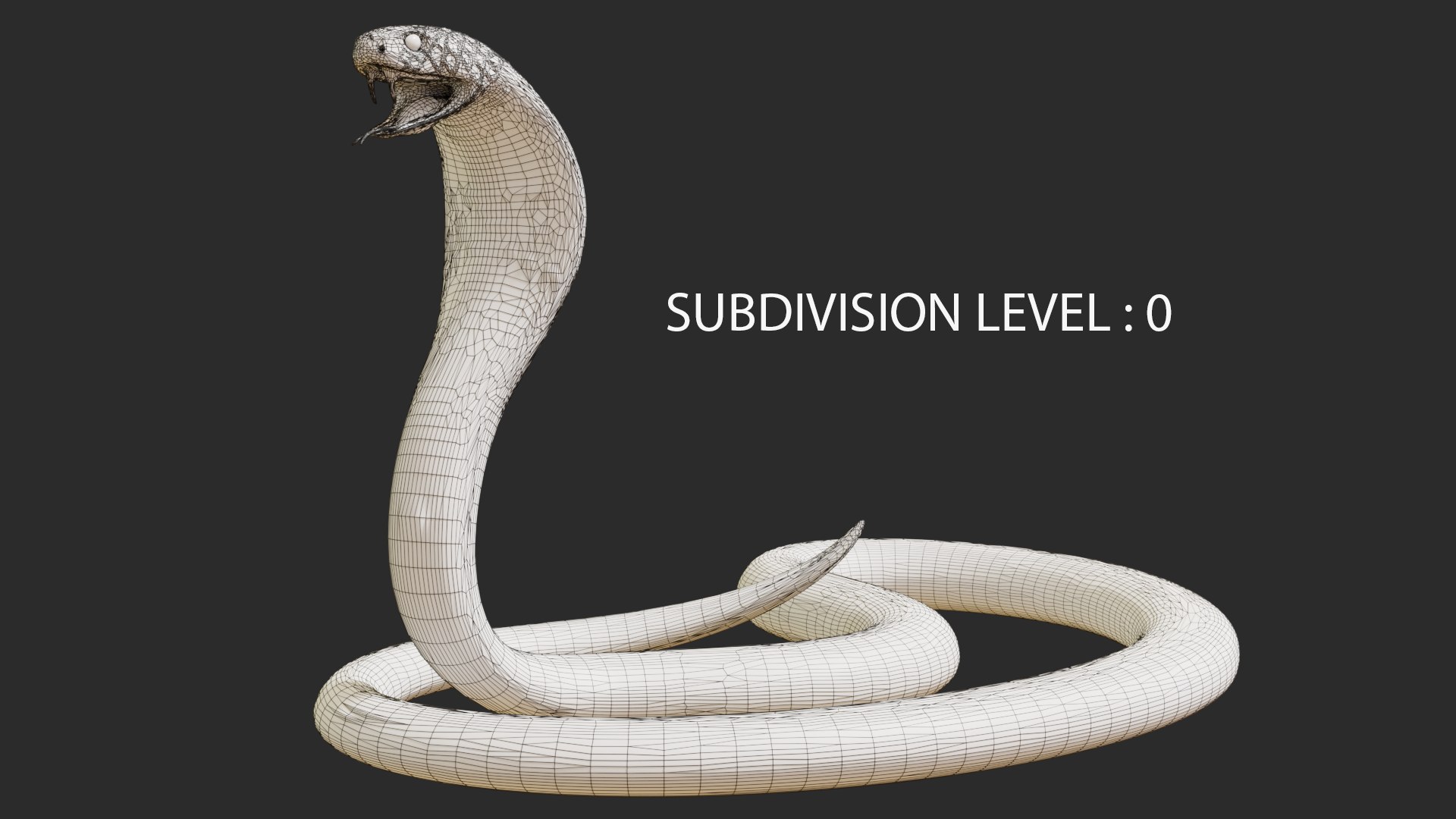 Snake 3D model - TurboSquid 1673842