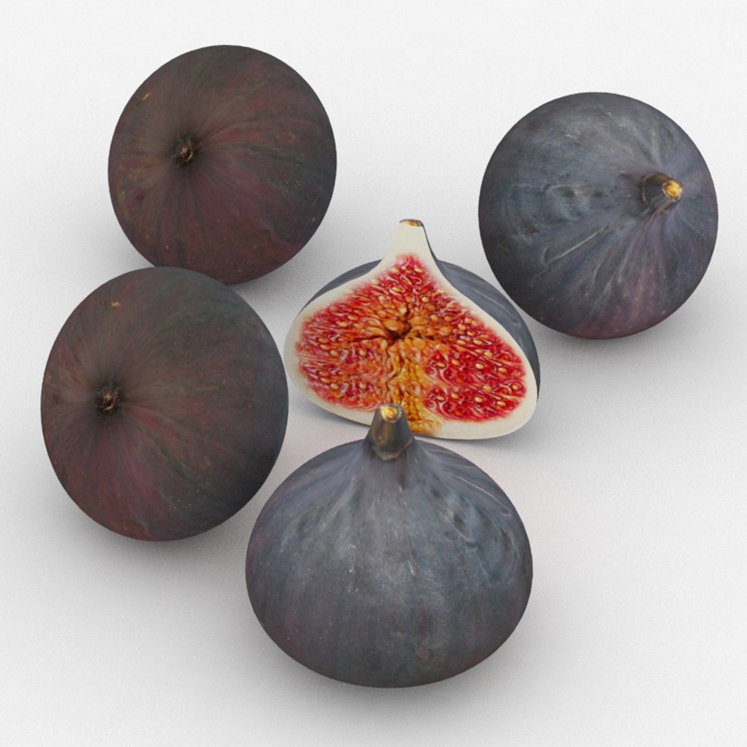 Fig fruit 3D model - TurboSquid 1212566