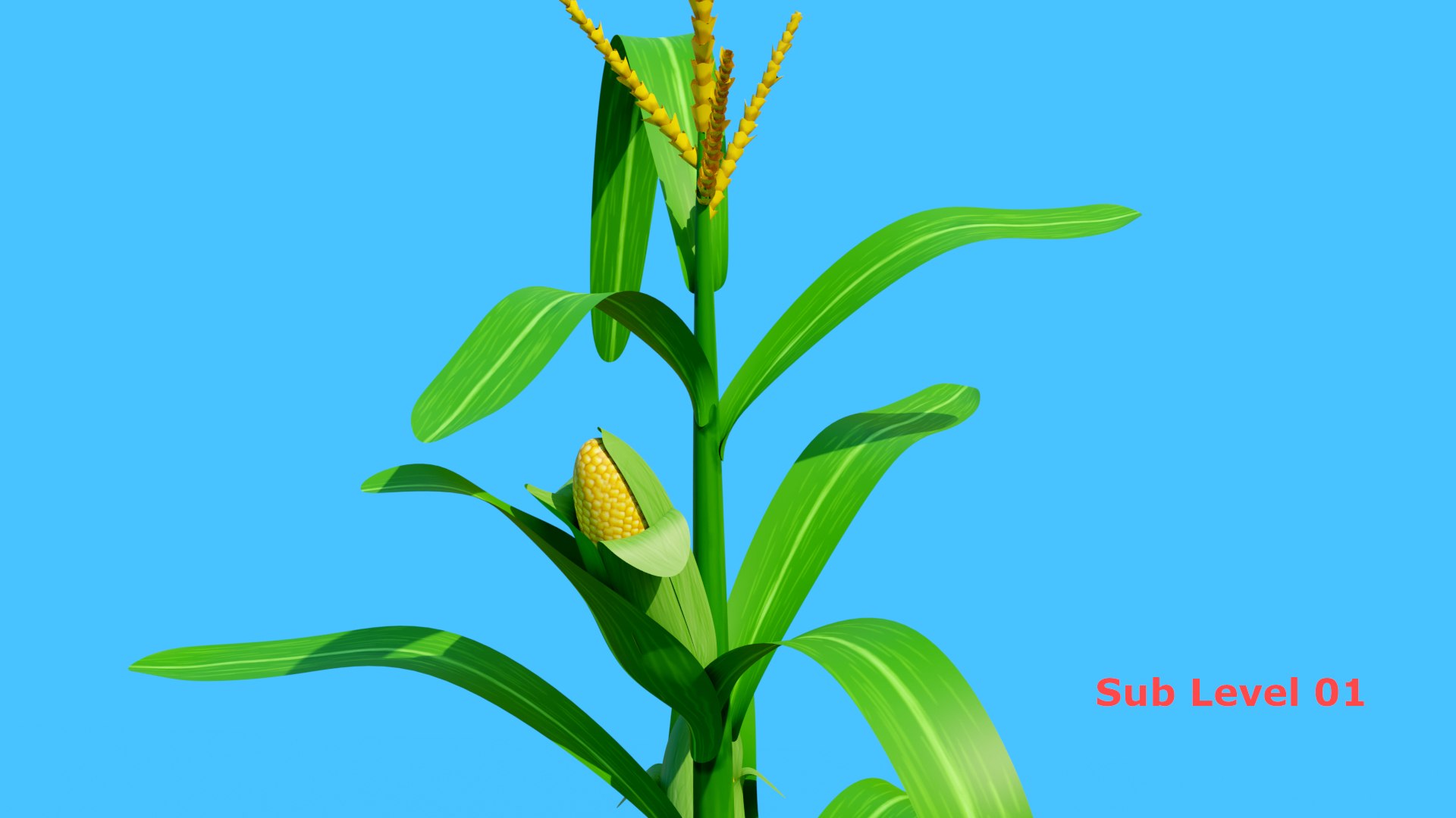 3D Stylized Corn Stalk Model - TurboSquid 1758181
