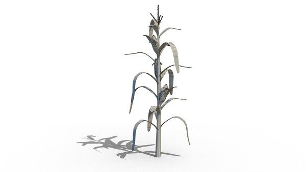 3D Stylized Corn Stalk model - TurboSquid 1758181
