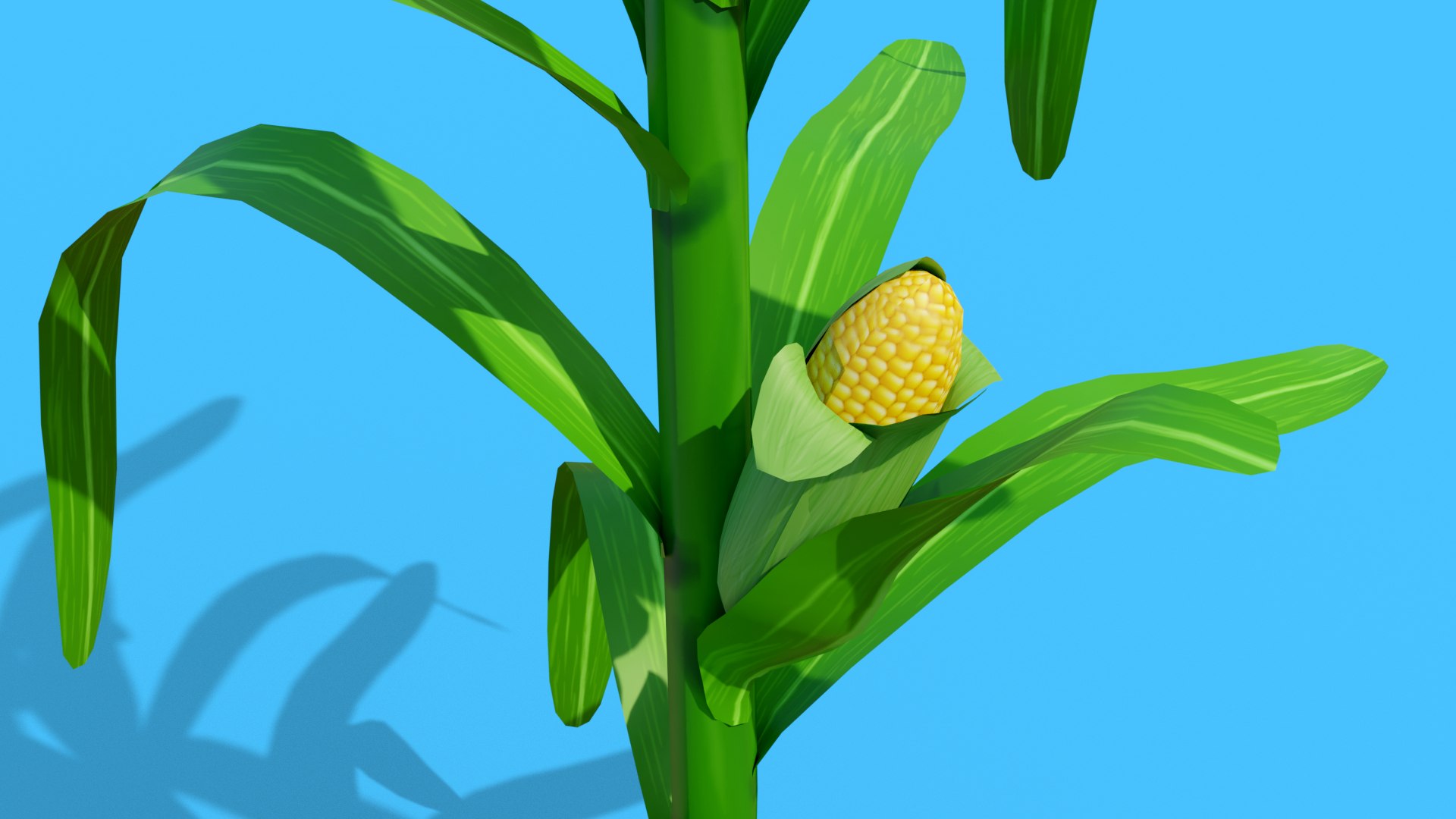 3D Stylized Corn Stalk Model - TurboSquid 1758181