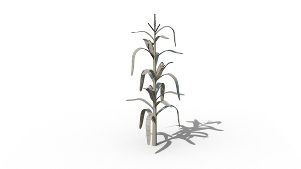 3D Stylized Corn Stalk model - TurboSquid 1758181