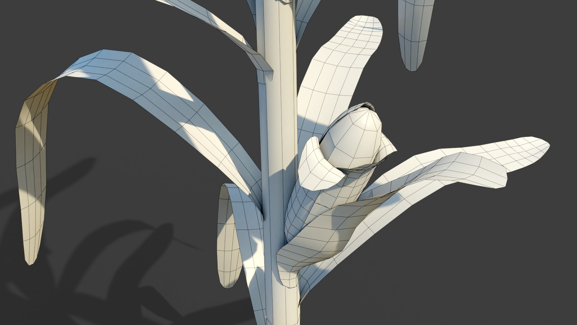 3D Stylized Corn Stalk Model - TurboSquid 1758181