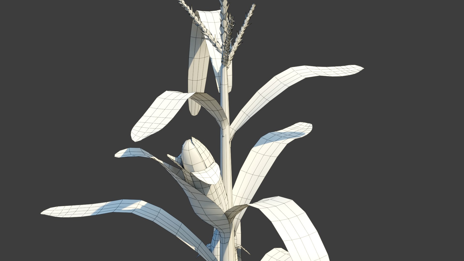 3D Stylized Corn Stalk Model - TurboSquid 1758181