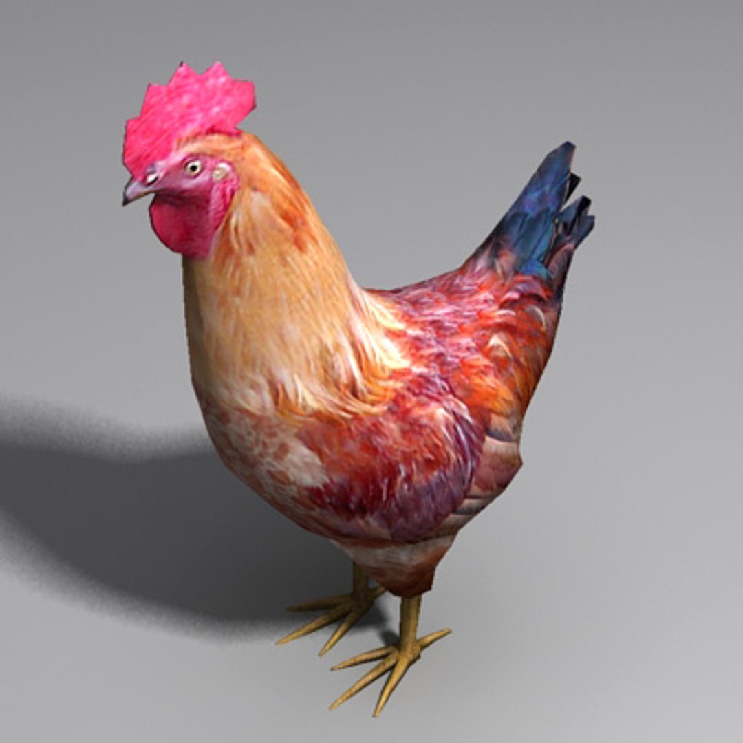 3ds Max Rooster Hens