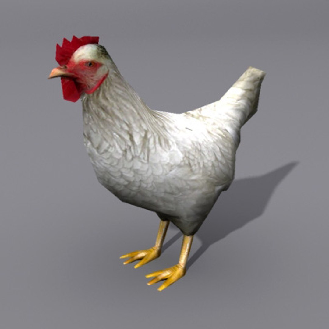 3ds Max Rooster Hens