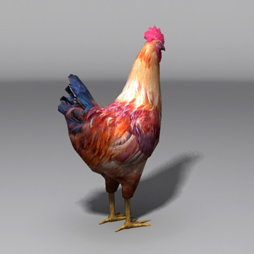 3ds Max Rooster Hens