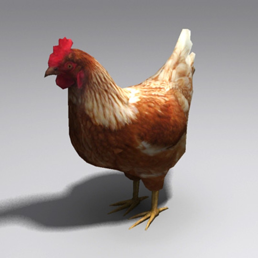 3ds Max Rooster Hens
