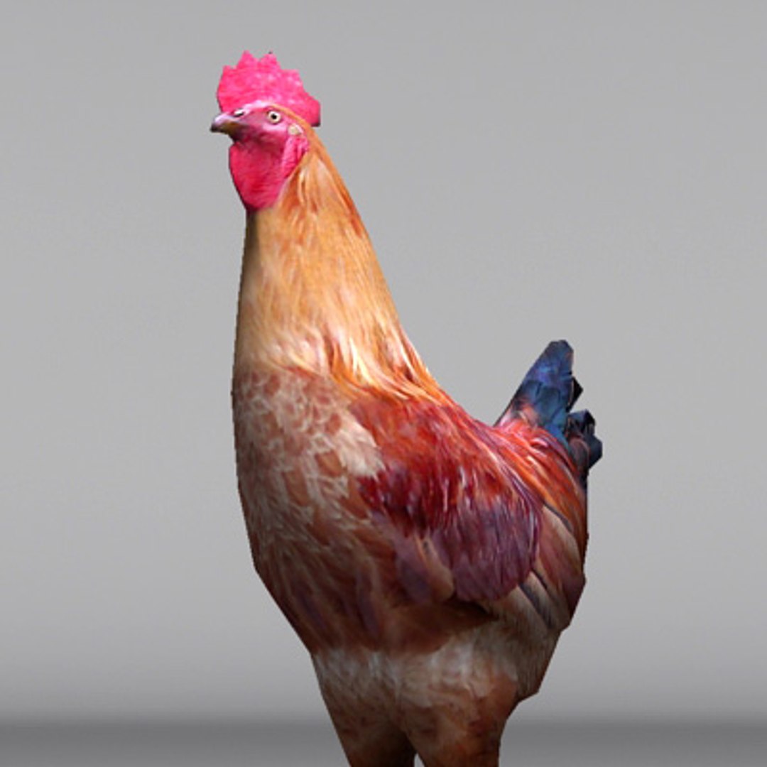3ds Max Rooster Hens